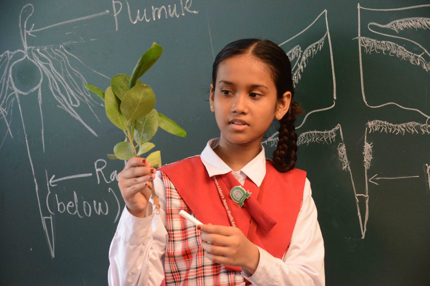 Education - Anjuman I Islam